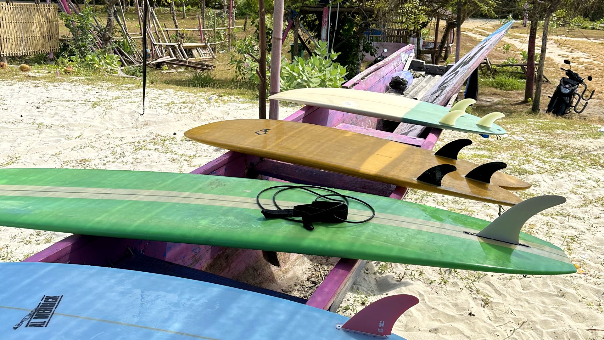 Surfing 101: Essential Surfing Gear Every Beginner Needs